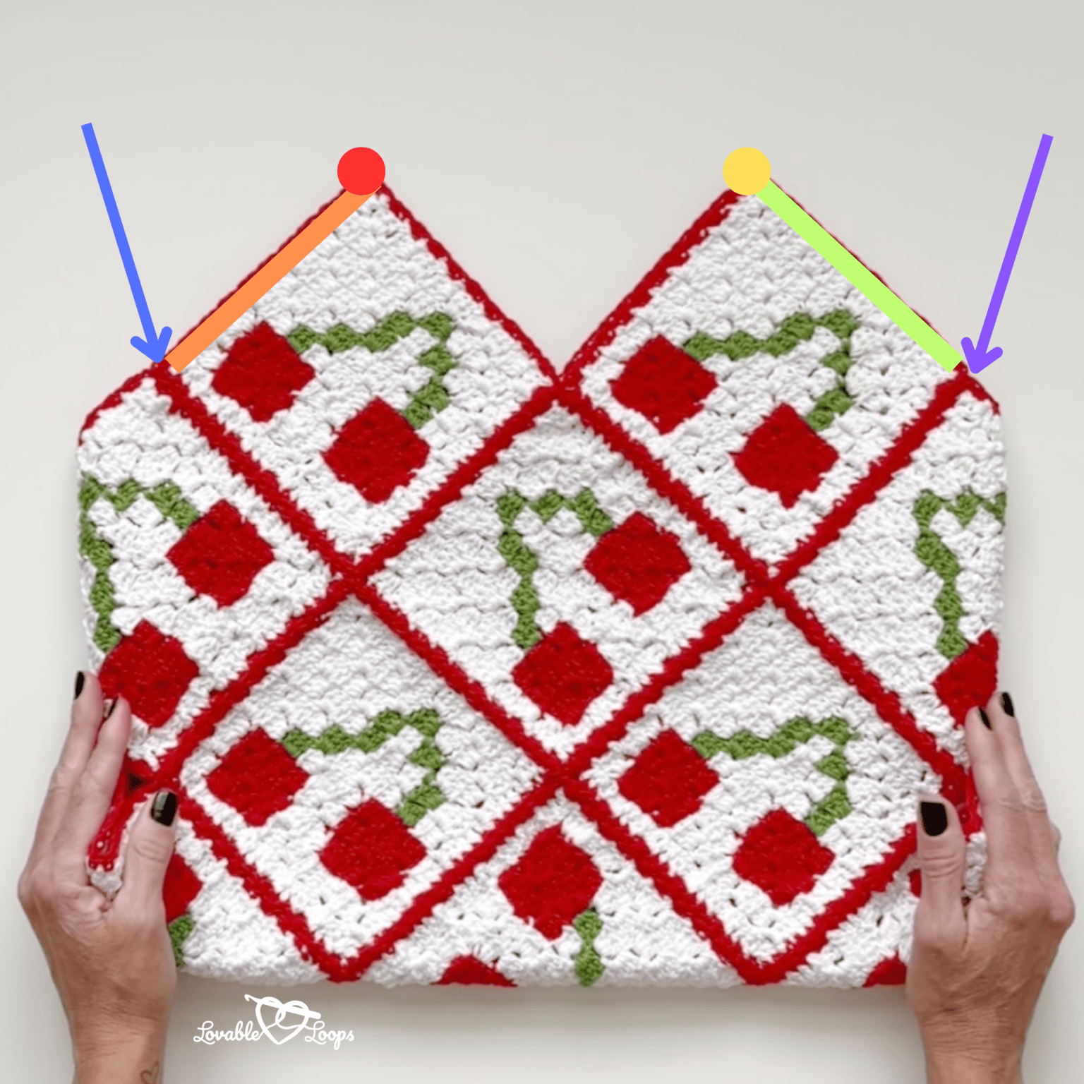 Free Land & Sea Turtle c2c Crochet Bag Pattern for Beginners