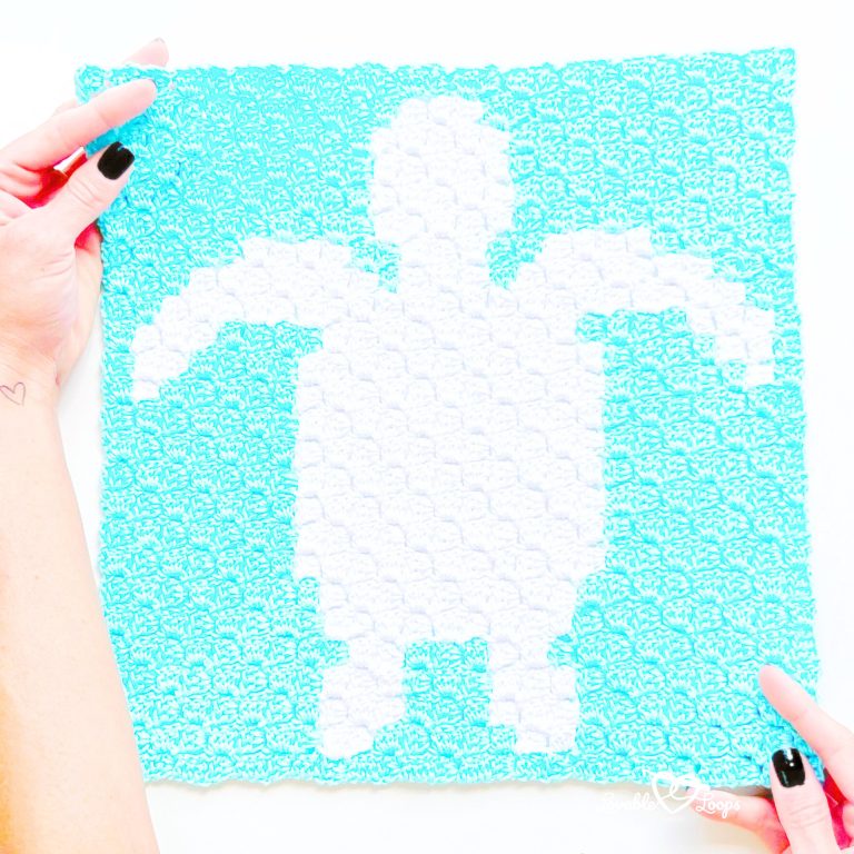 Free Crochet Turtle Pattern for Beginners C2C Square
