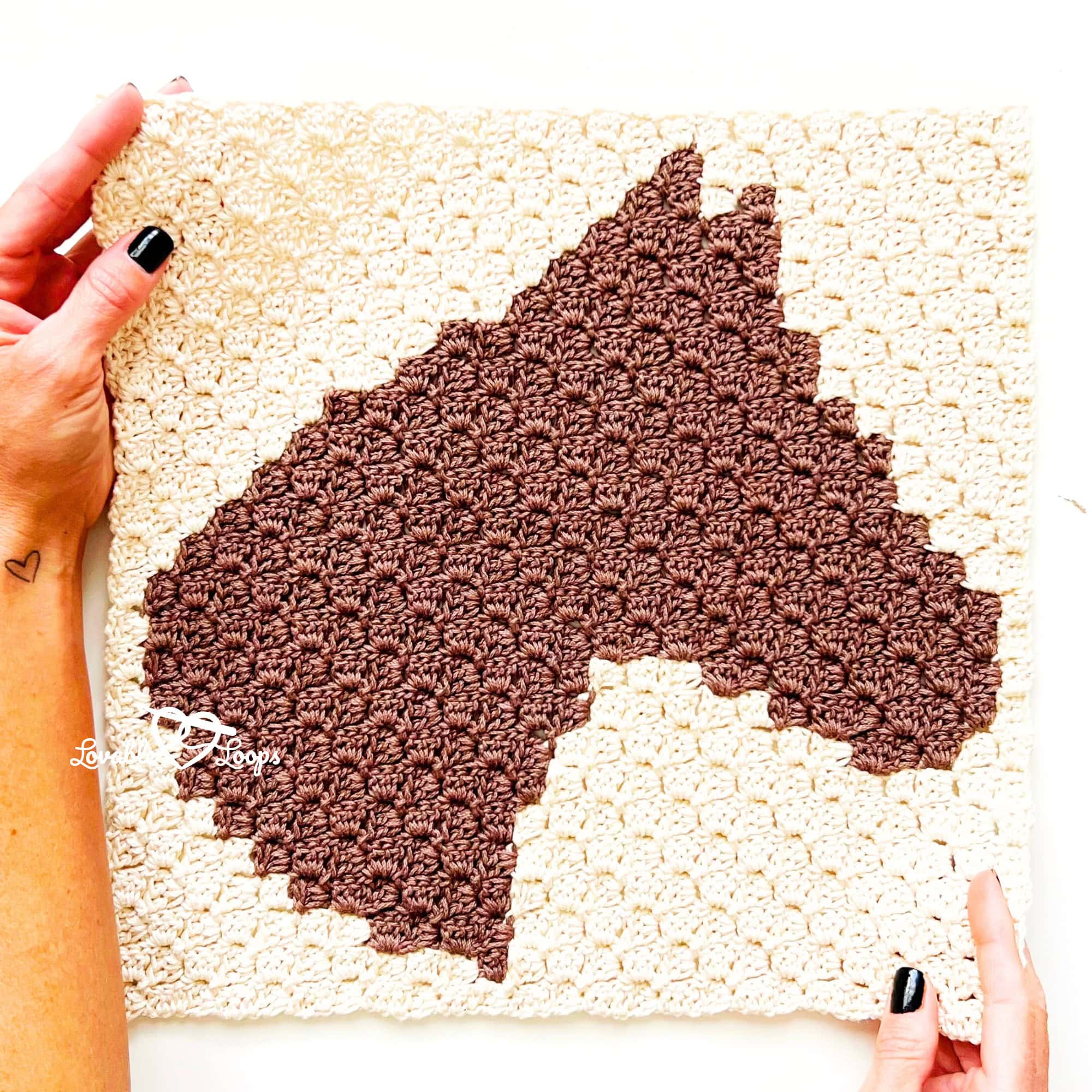 Free and Easy C2C Crochet Horse Pattern for Beginners
