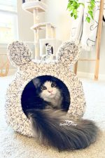 Crochet Cat Pod Pattern- Free DIY Cave Bed for Cats
